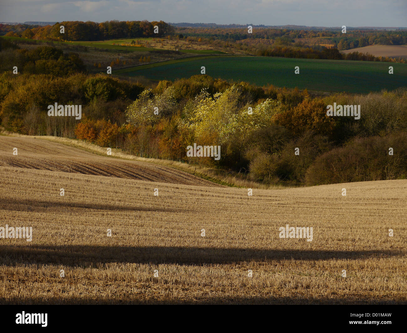 Trees shadows and fields in a rural Nottinghamshire English landscape ...