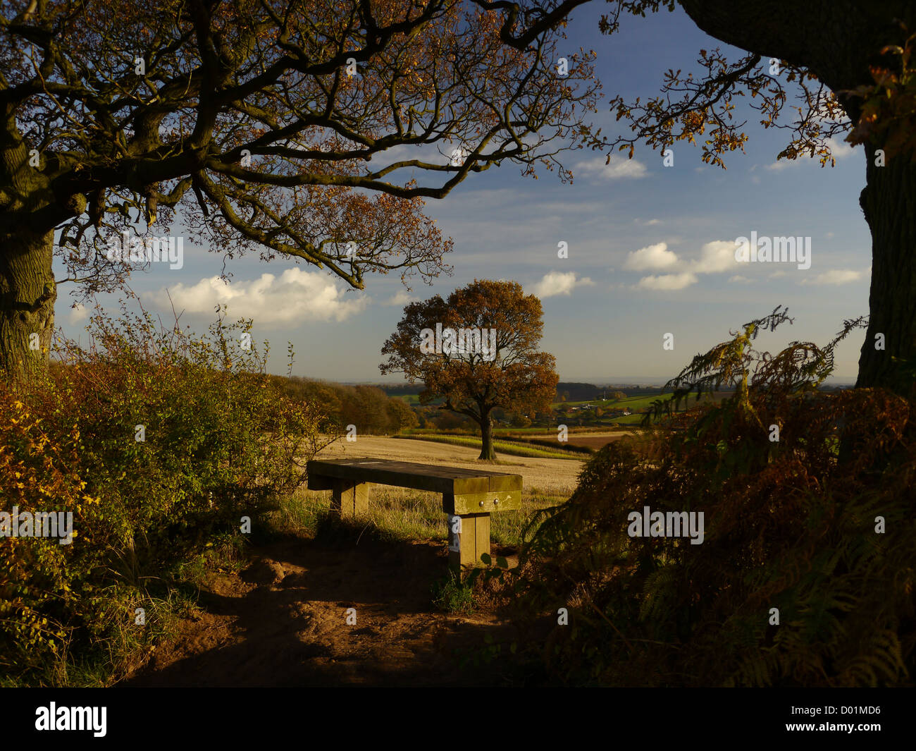 Bench, trees and fields in a rural Nottinghamshire English landscape in ...