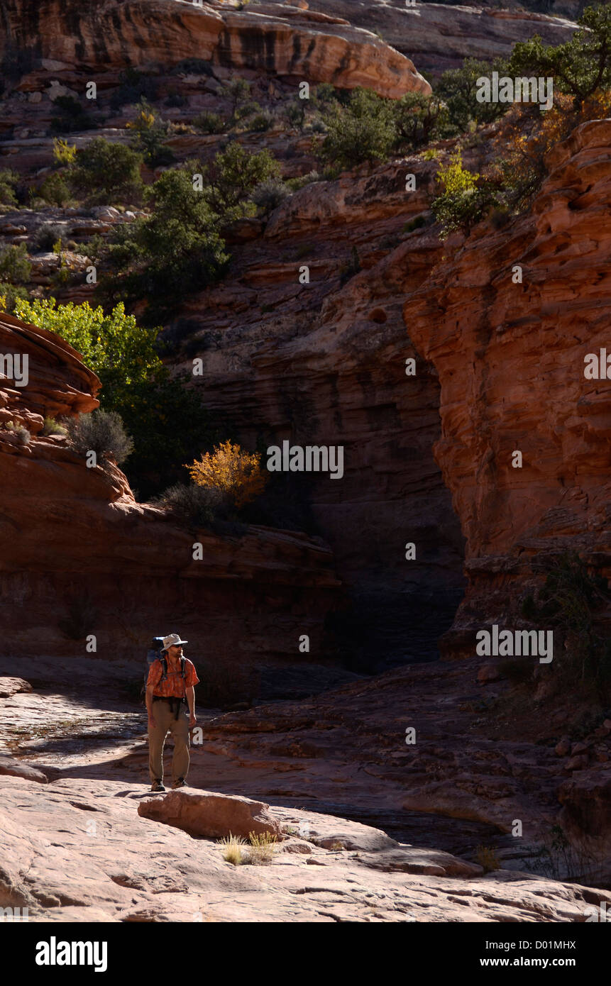 Backpacker in a desert canyon in Southern Utah Stock Photo - Alamy