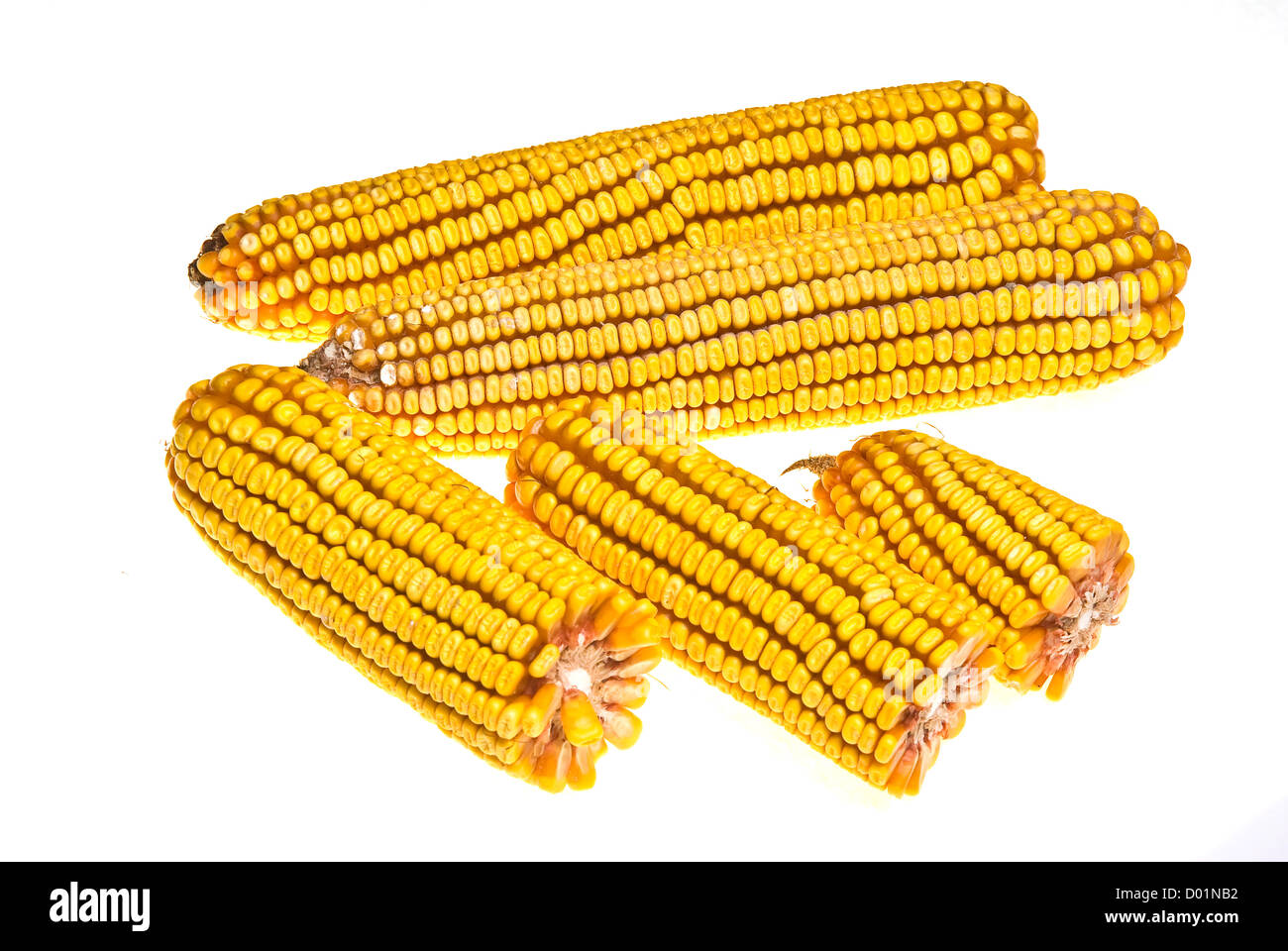 Agriculture view Cut Out Stock Images & Pictures - Alamy