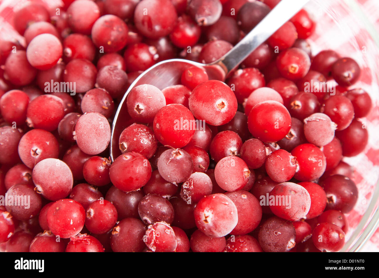 Cranberry bog frozen hi-res stock photography and images - Alamy