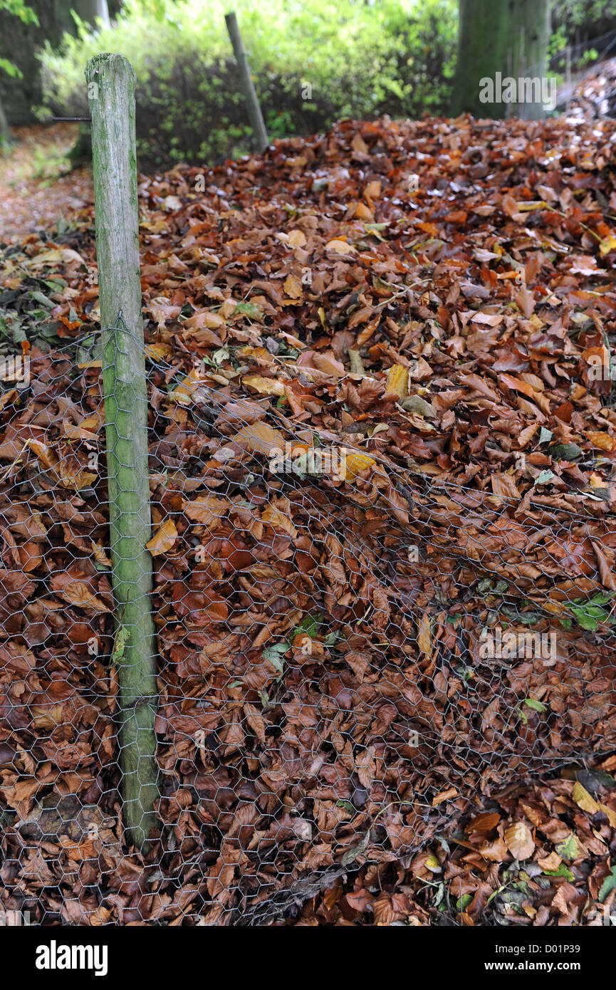 Beech leaves compost bin hi-res stock photography and images - Alamy