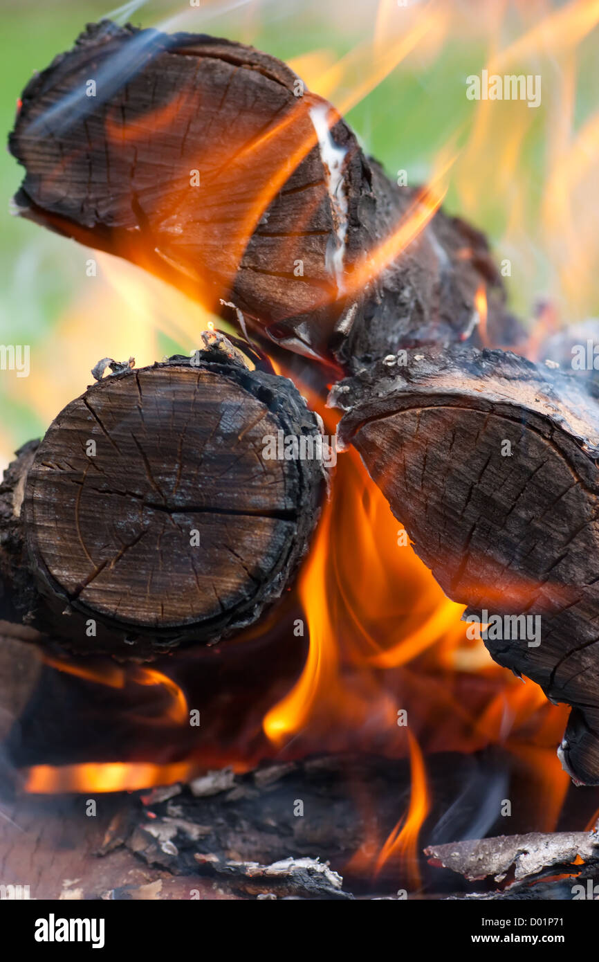 Closeup view of burning logs in a bonfire Stock Photo - Alamy