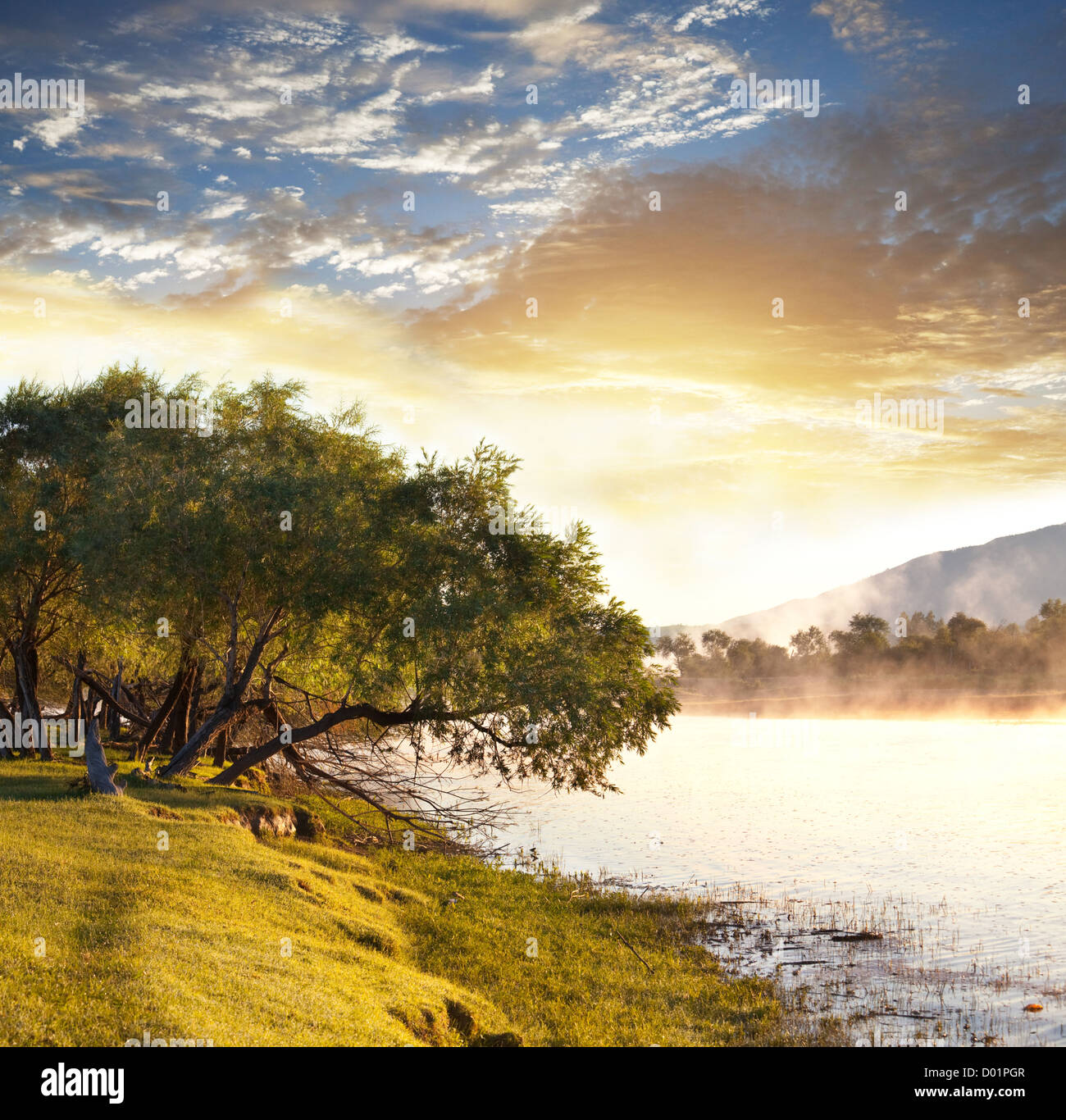 wet meadow on river bank Stock Photo - Alamy