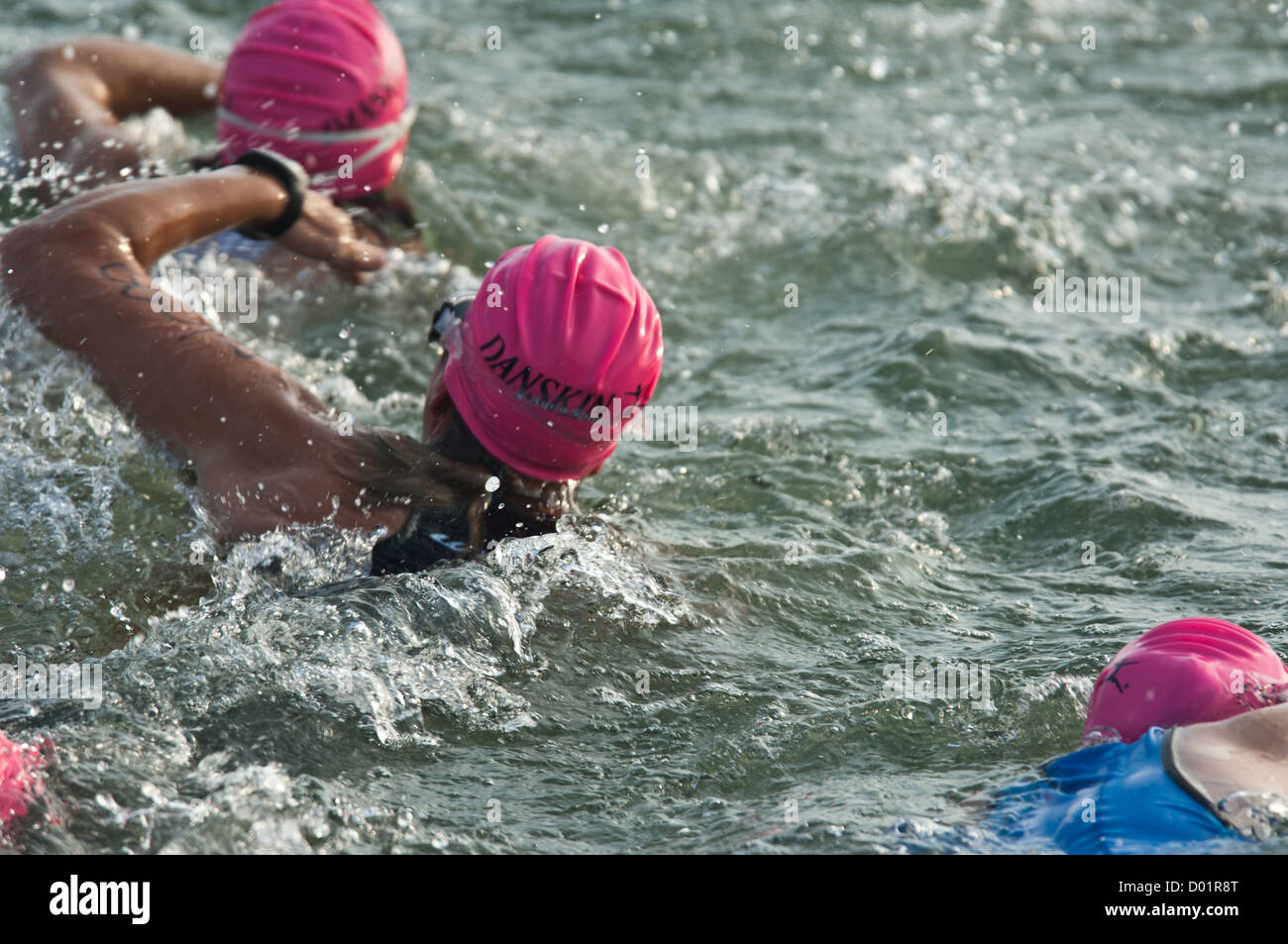 Swimmers competing in a triathlon race, Austin Texas Stock Photo - Alamy