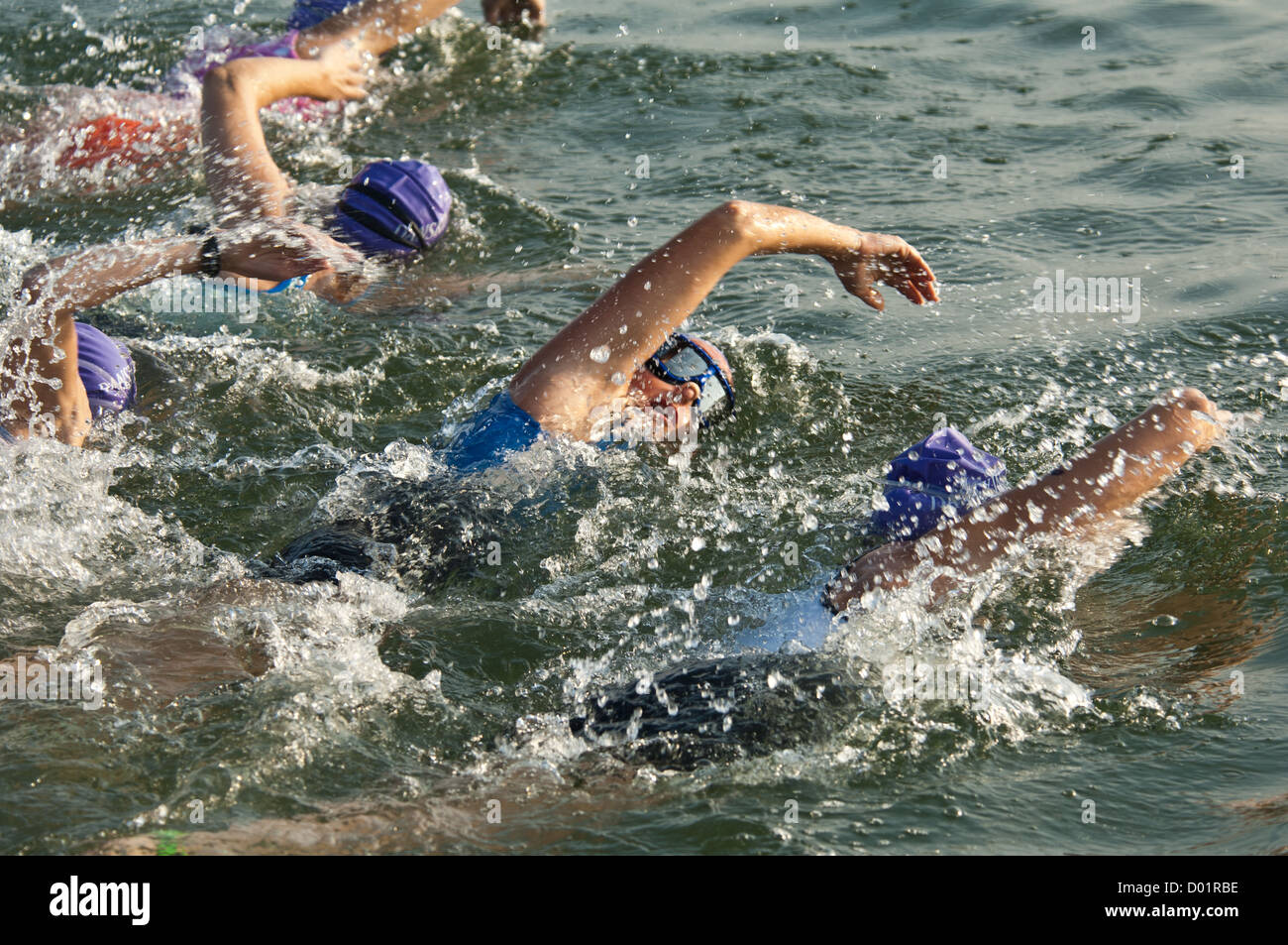 Swimmers competing in a triathlon race, Austin Texas Stock Photo - Alamy