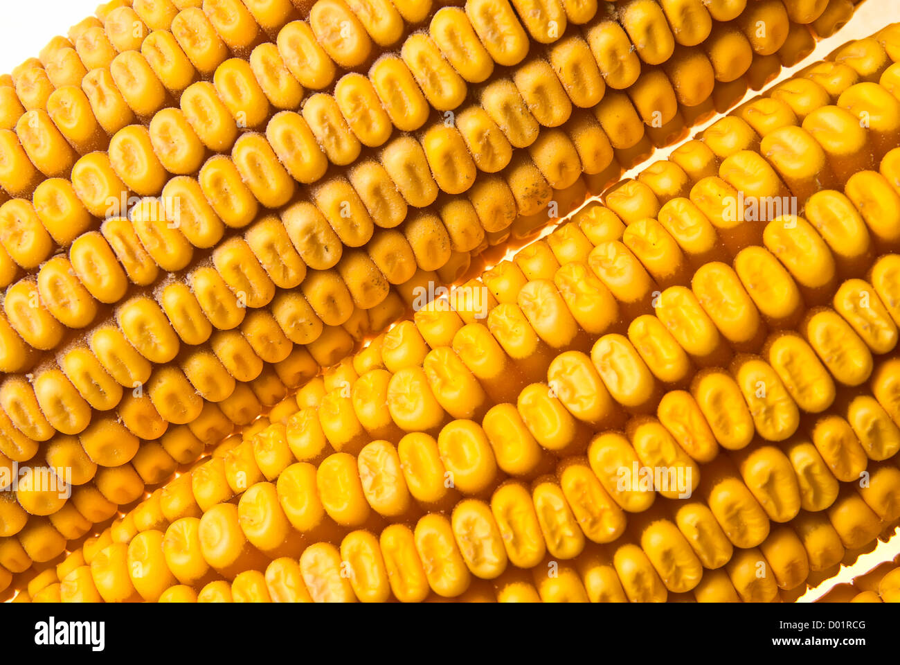 Yellow Corncob isolated on white Stock Photo - Alamy
