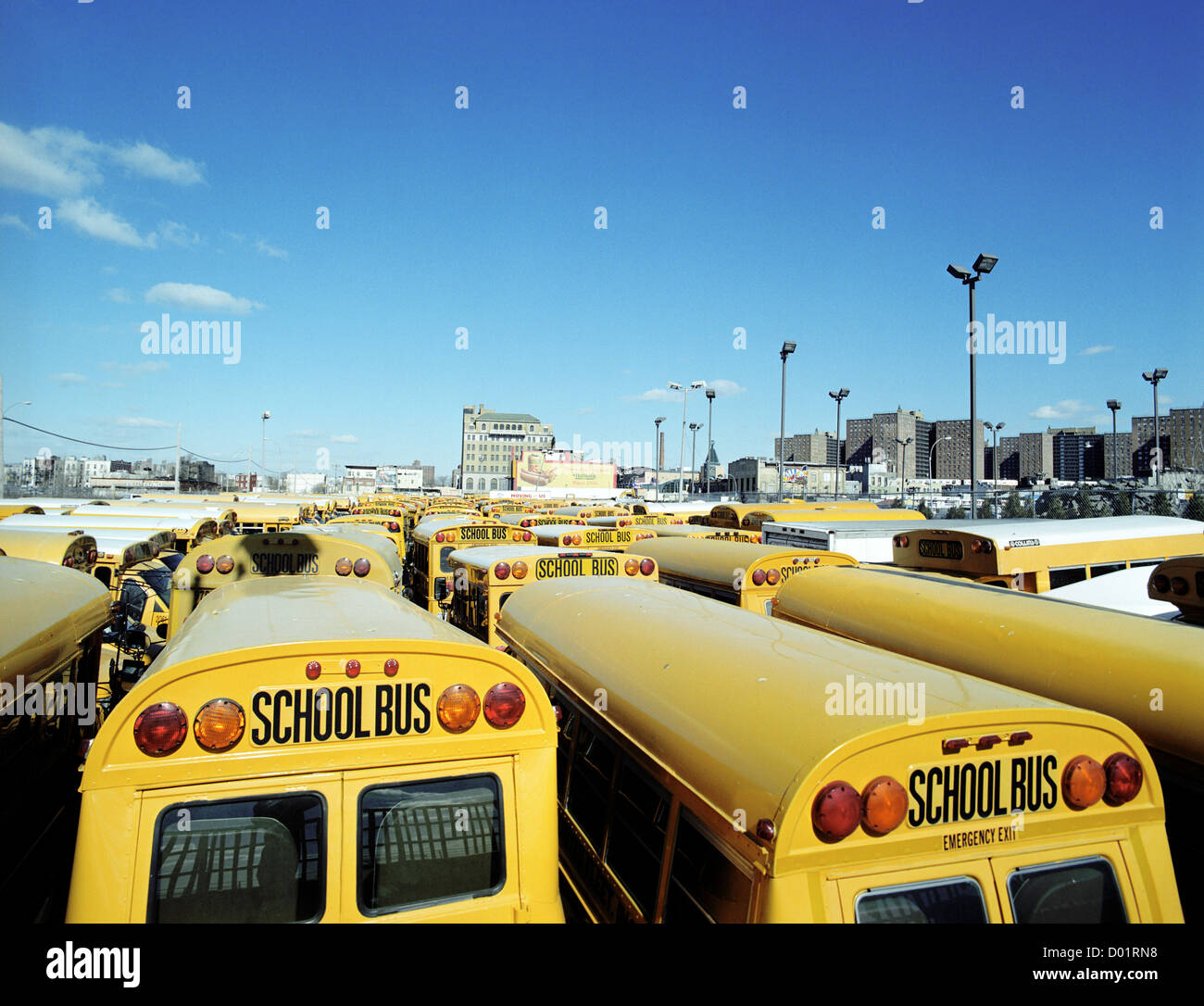 School buses in Conney Island, New York, USA Stock Photo - Alamy