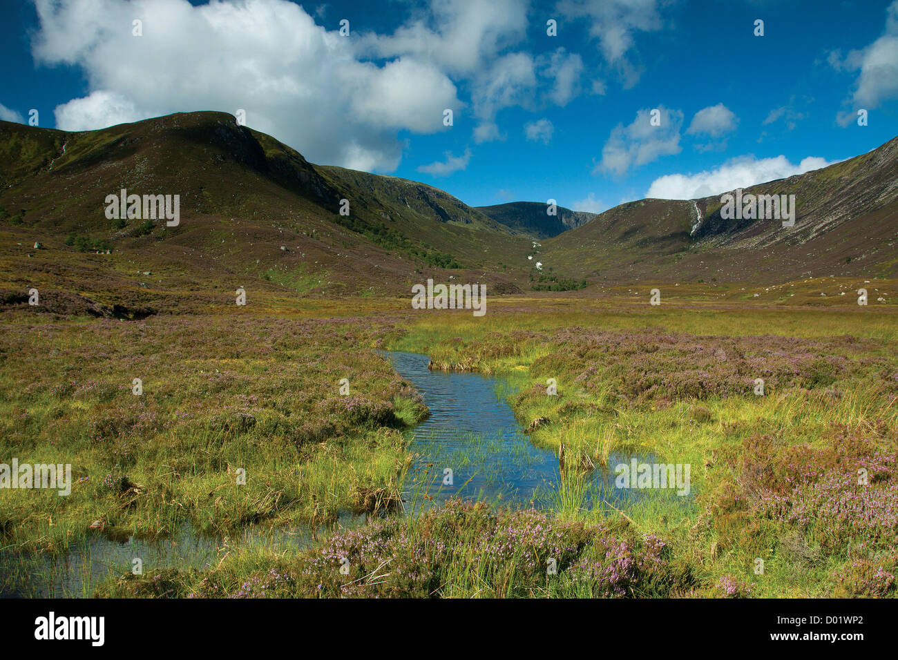 The head of Loch Muick, Cairngorms National Park, Aberdeenshire Stock ...