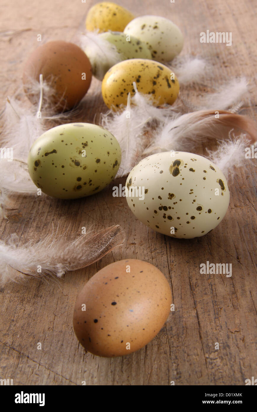 Spotted speckled feathers hi-res stock photography and images - Alamy