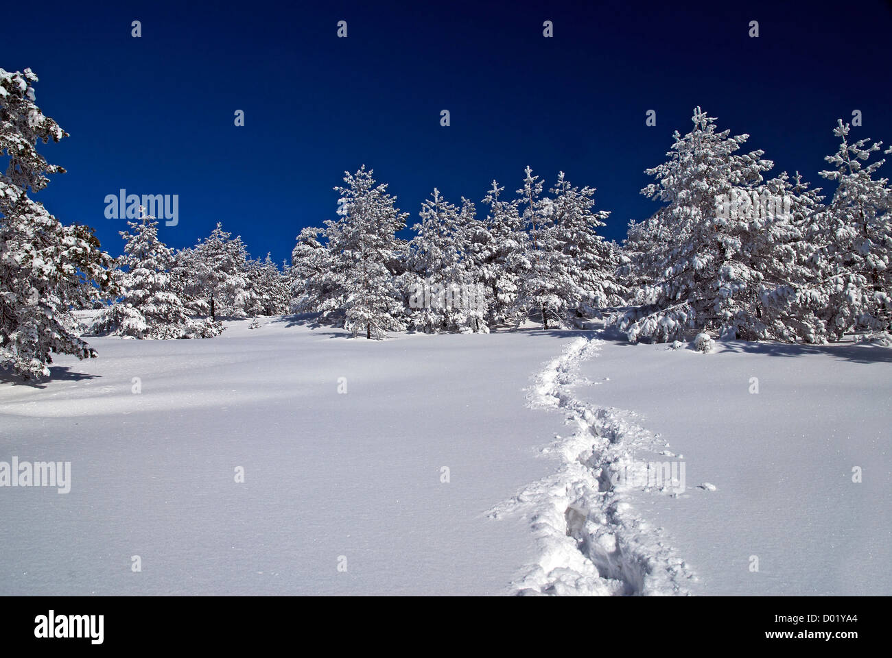 Path pathway road hi-res stock photography and images - Alamy