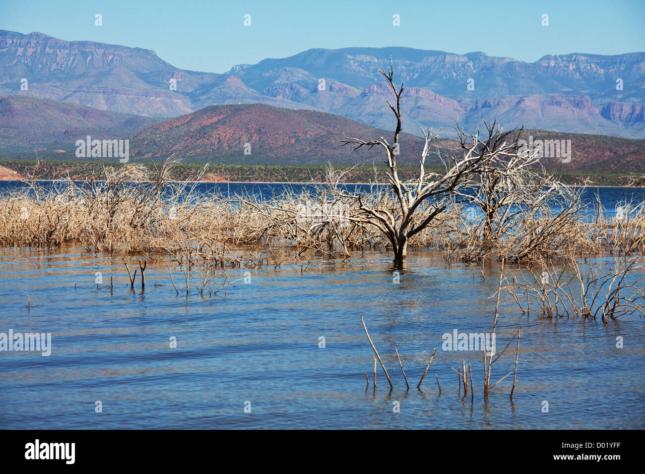 Morain lake hi-res stock photography and images - Alamy