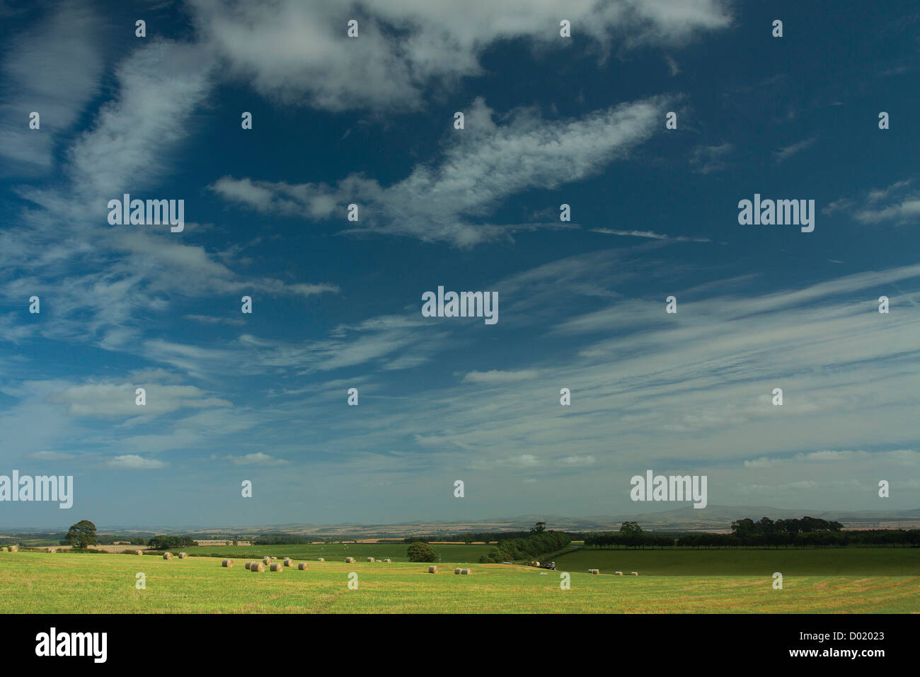 Hay Bales near Smailholm, Scottish Borders Stock Photo - Alamy