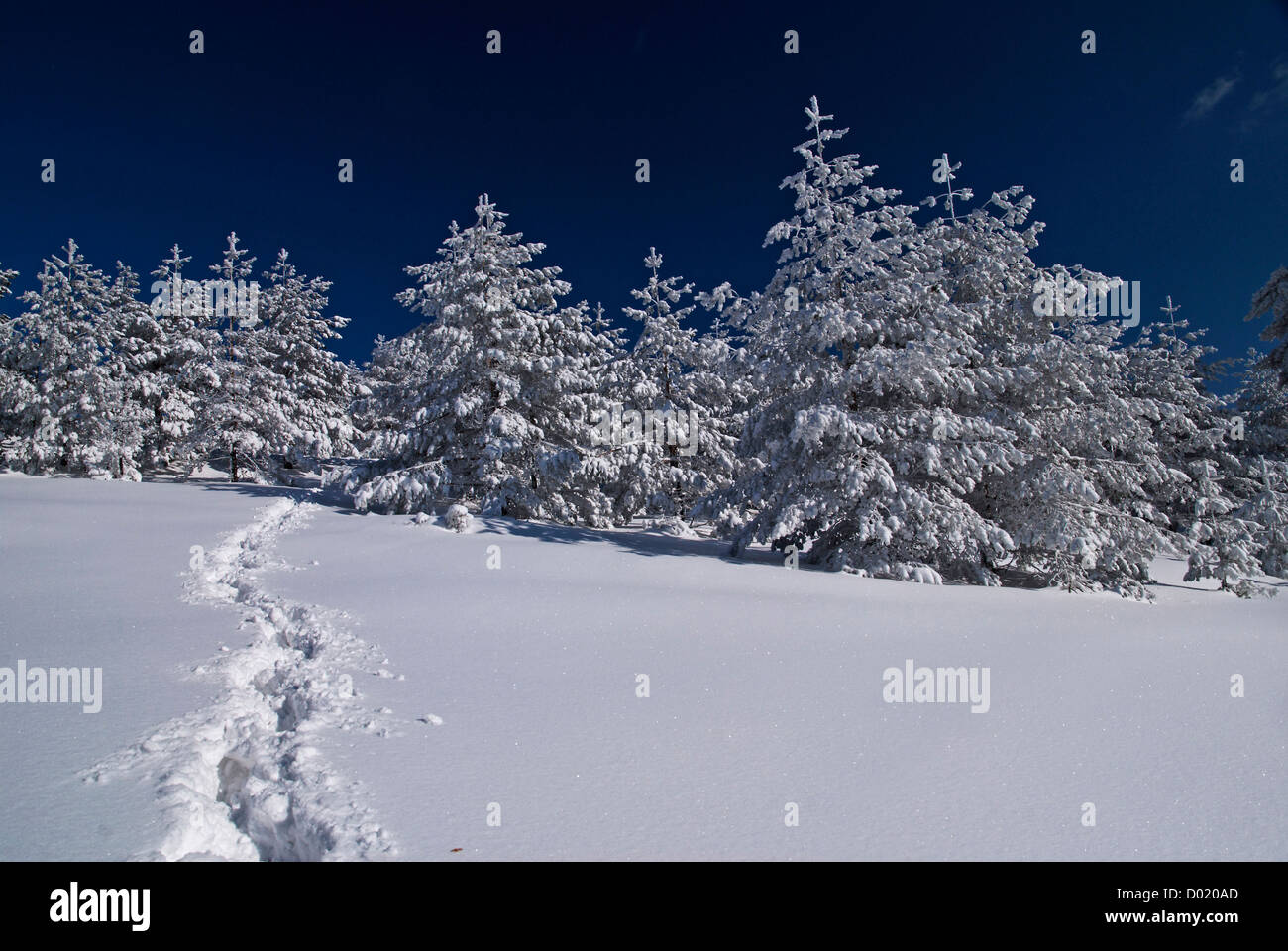 Path pathway road hi-res stock photography and images - Alamy