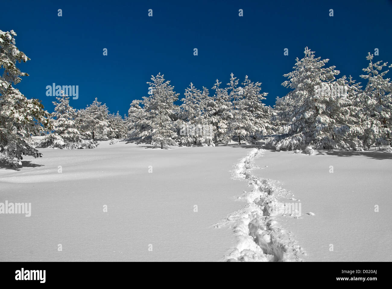 Path pathway road hi-res stock photography and images - Alamy