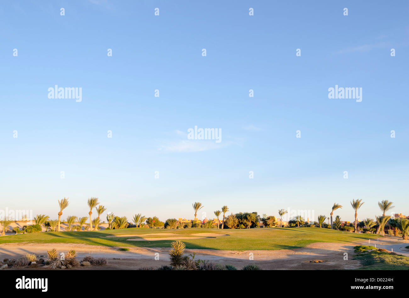 golf fields sunset green grass sport landscape Stock Photo - Alamy