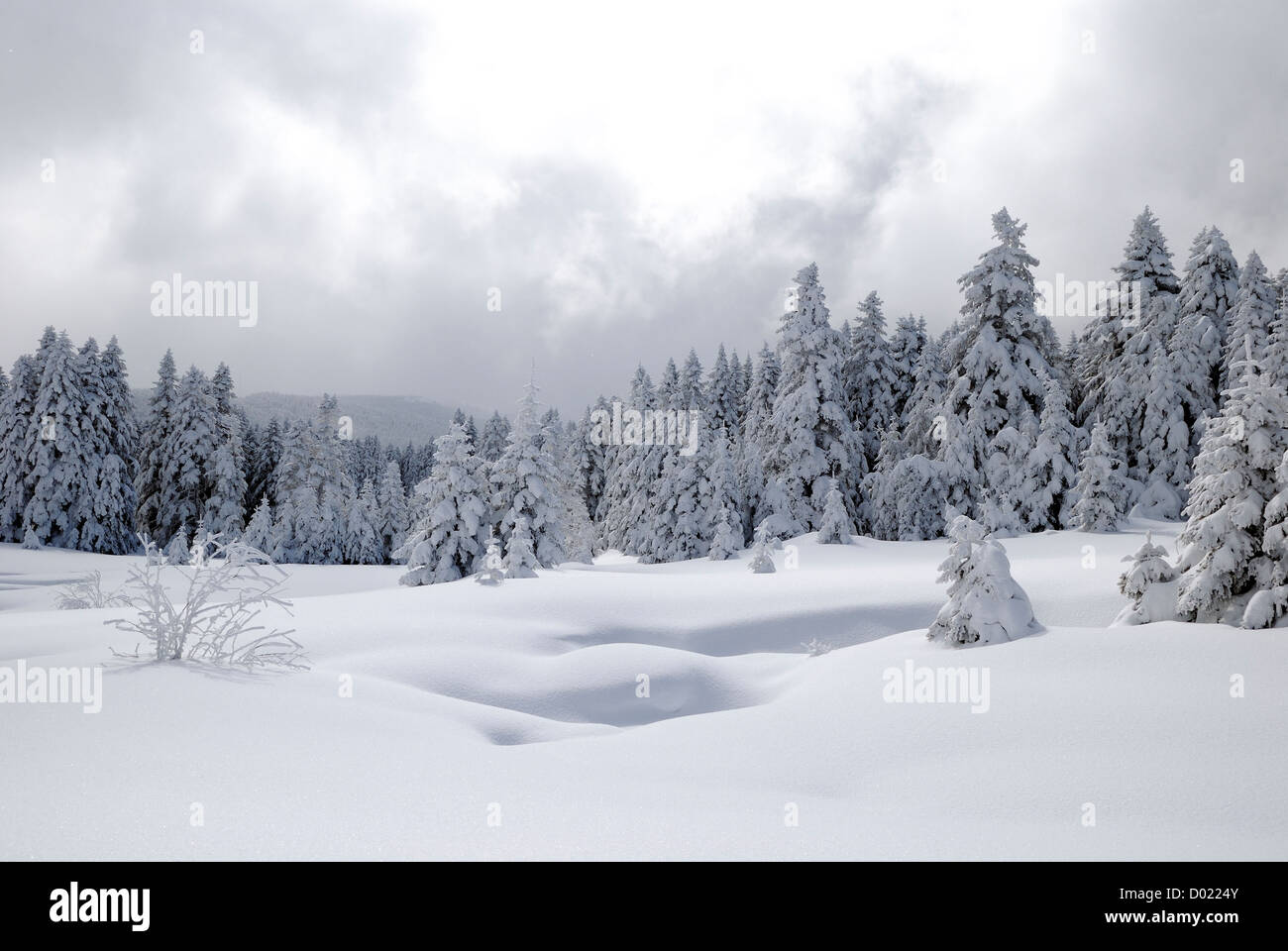 Human outdoor hi-res stock photography and images - Alamy