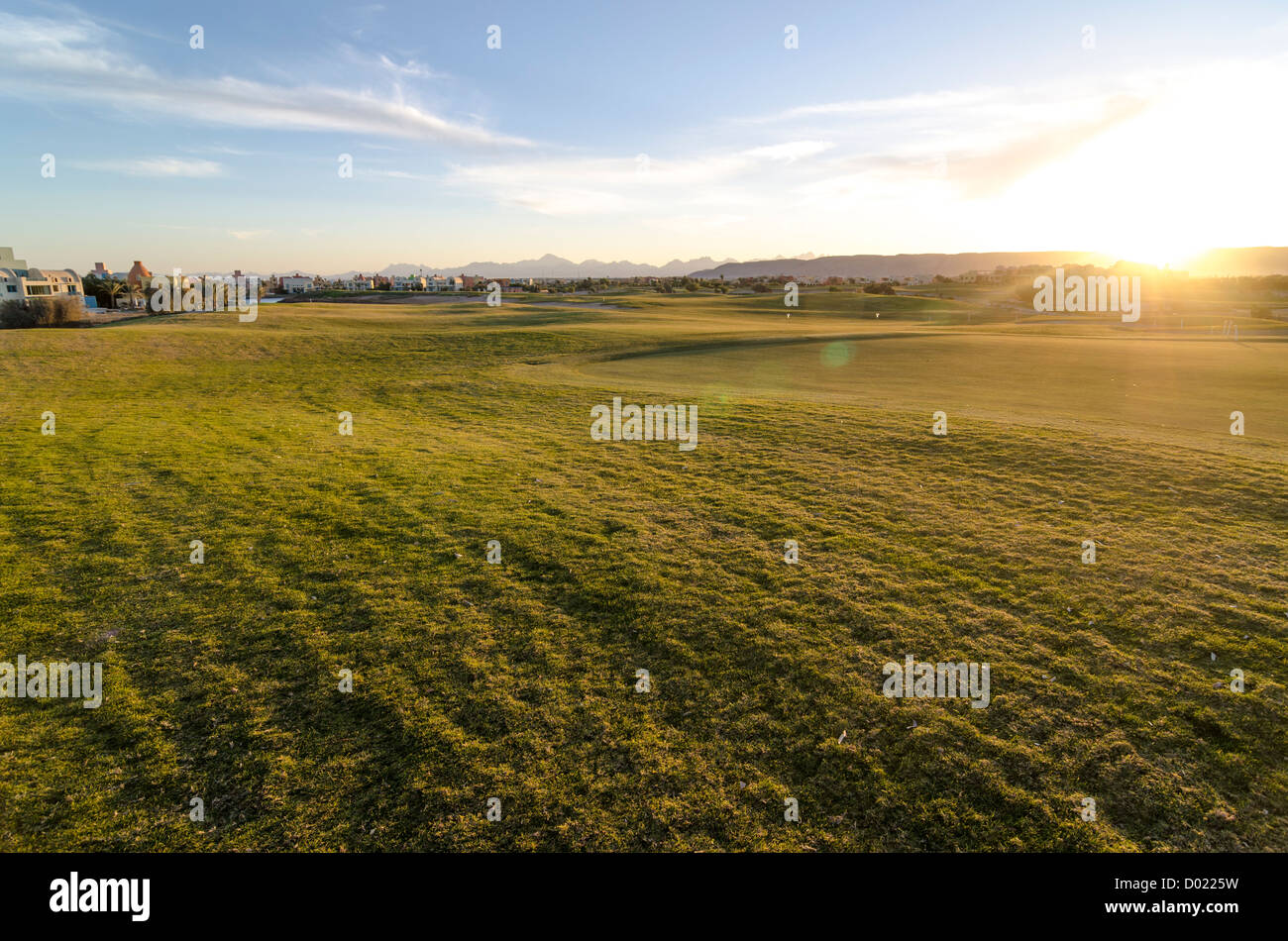 golf fields sunset green grass sport landscape Stock Photo - Alamy