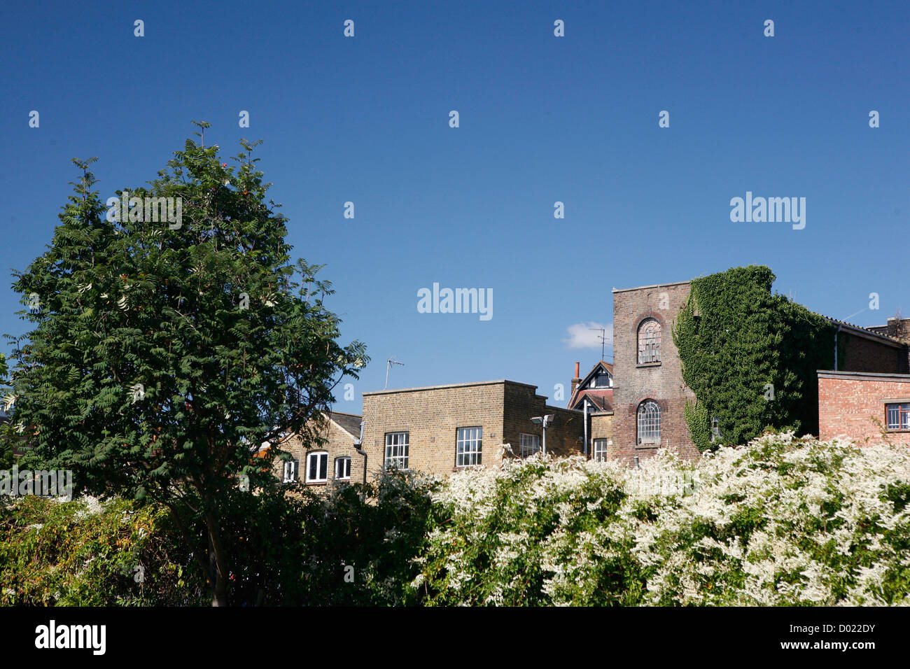 Industrial brick buildings surrounded by trees and green foliage Stock ...