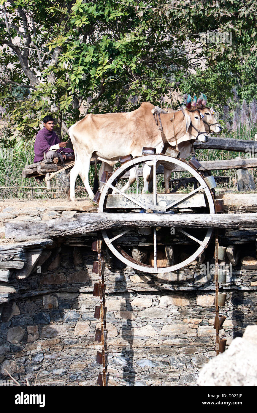 Water wells india hi-res stock photography and images - Alamy
