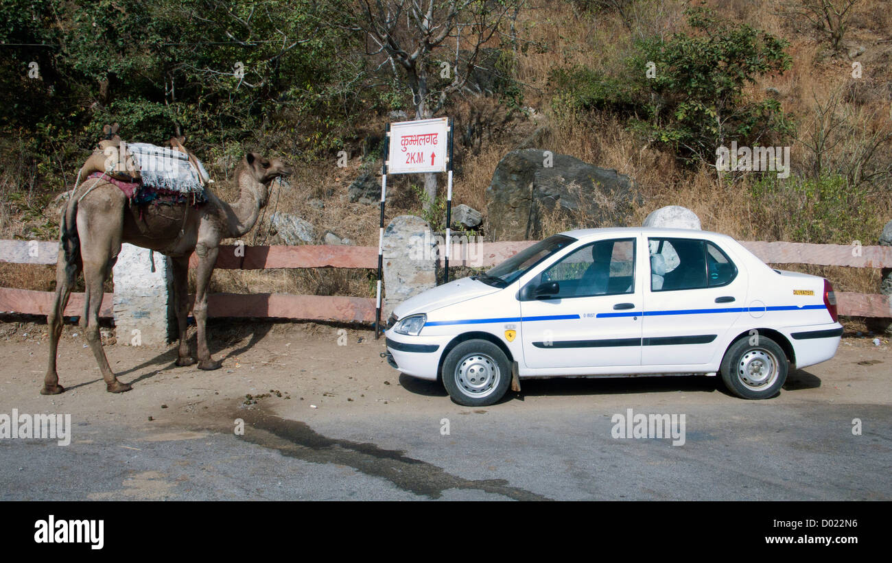 Old and new camel and saloon car Rajasthan India Stock Photo - Alamy