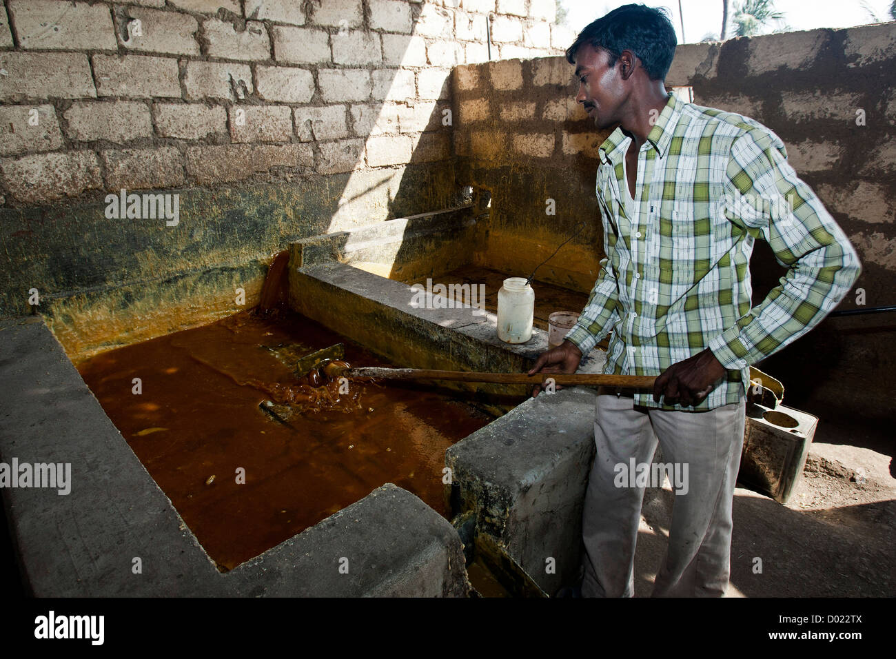 Manufacturing unrefined sugar jaggery or gur Gujarat India Stock Photo ...