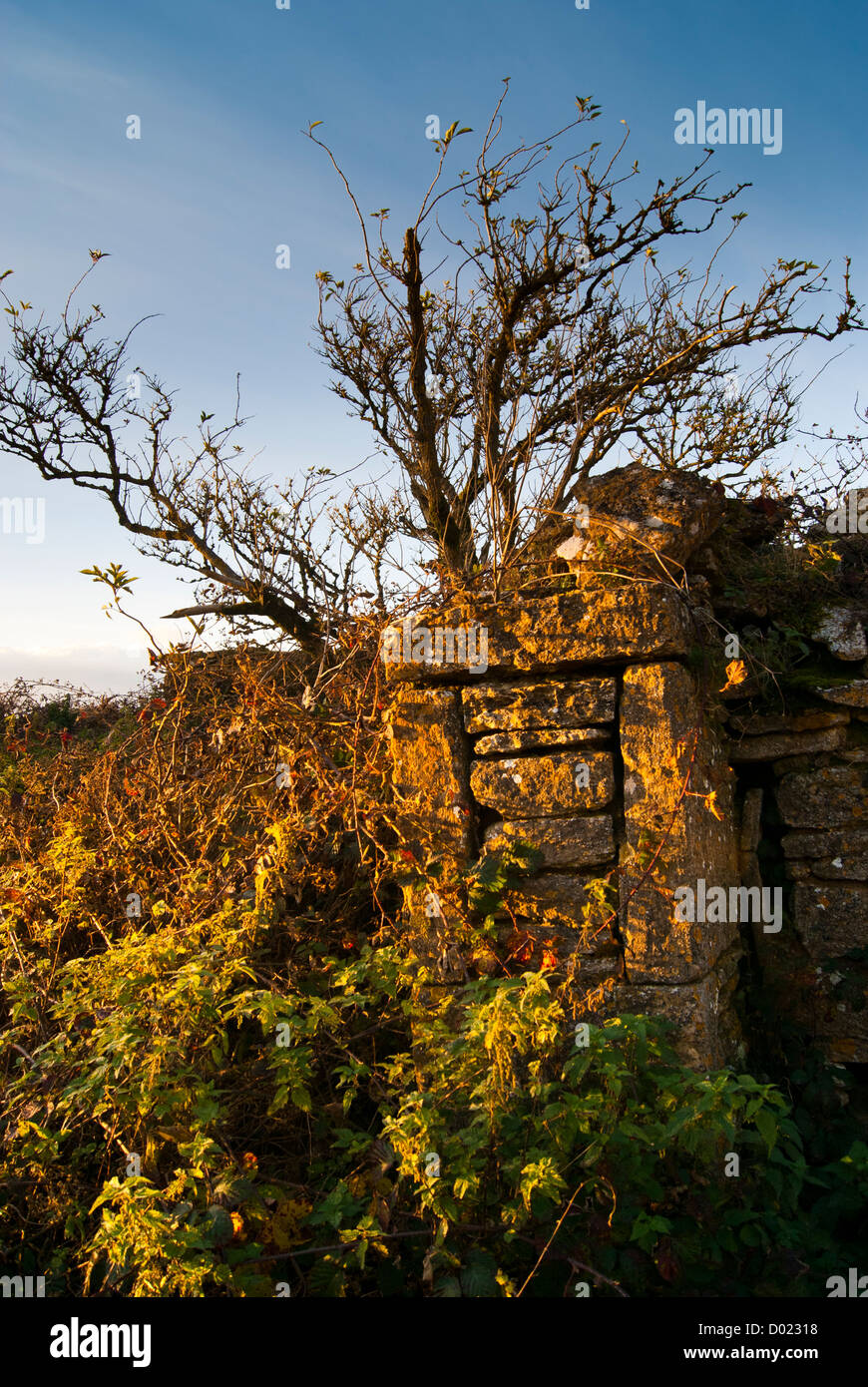 Avening hi-res stock photography and images - Alamy
