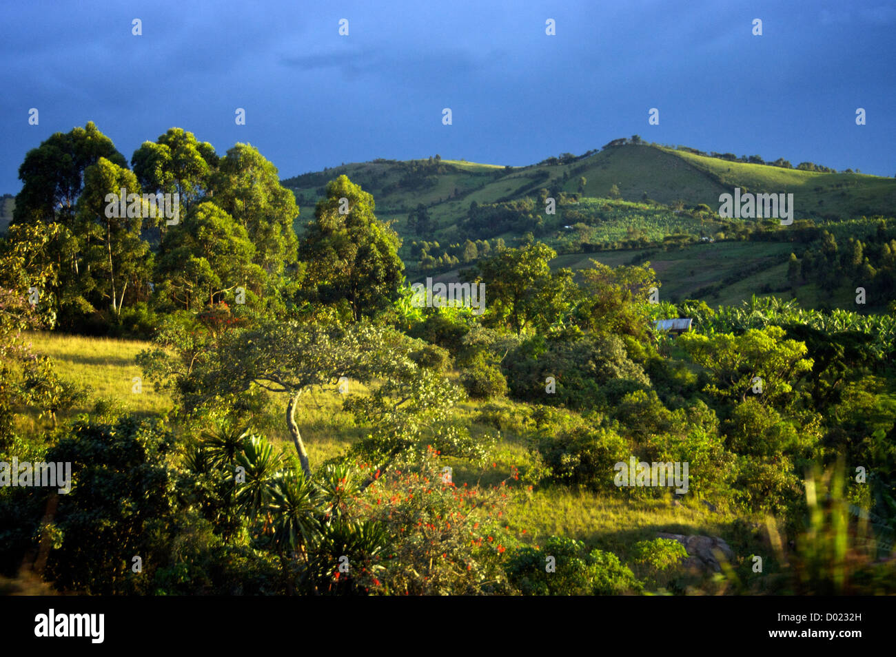 Landscape of Uganda, Africa Stock Photo - Alamy