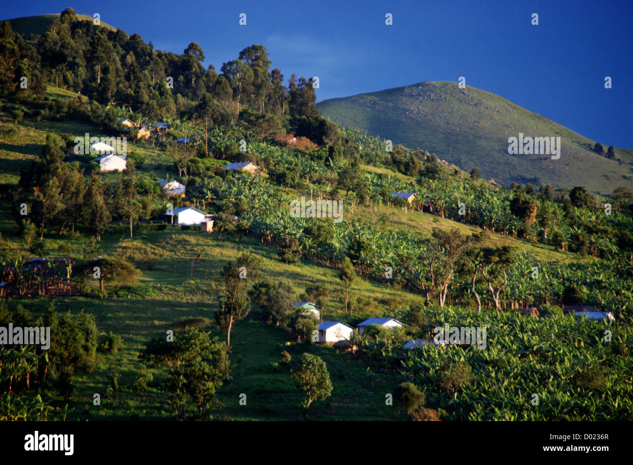 Landscape of Uganda, Africa Stock Photo - Alamy