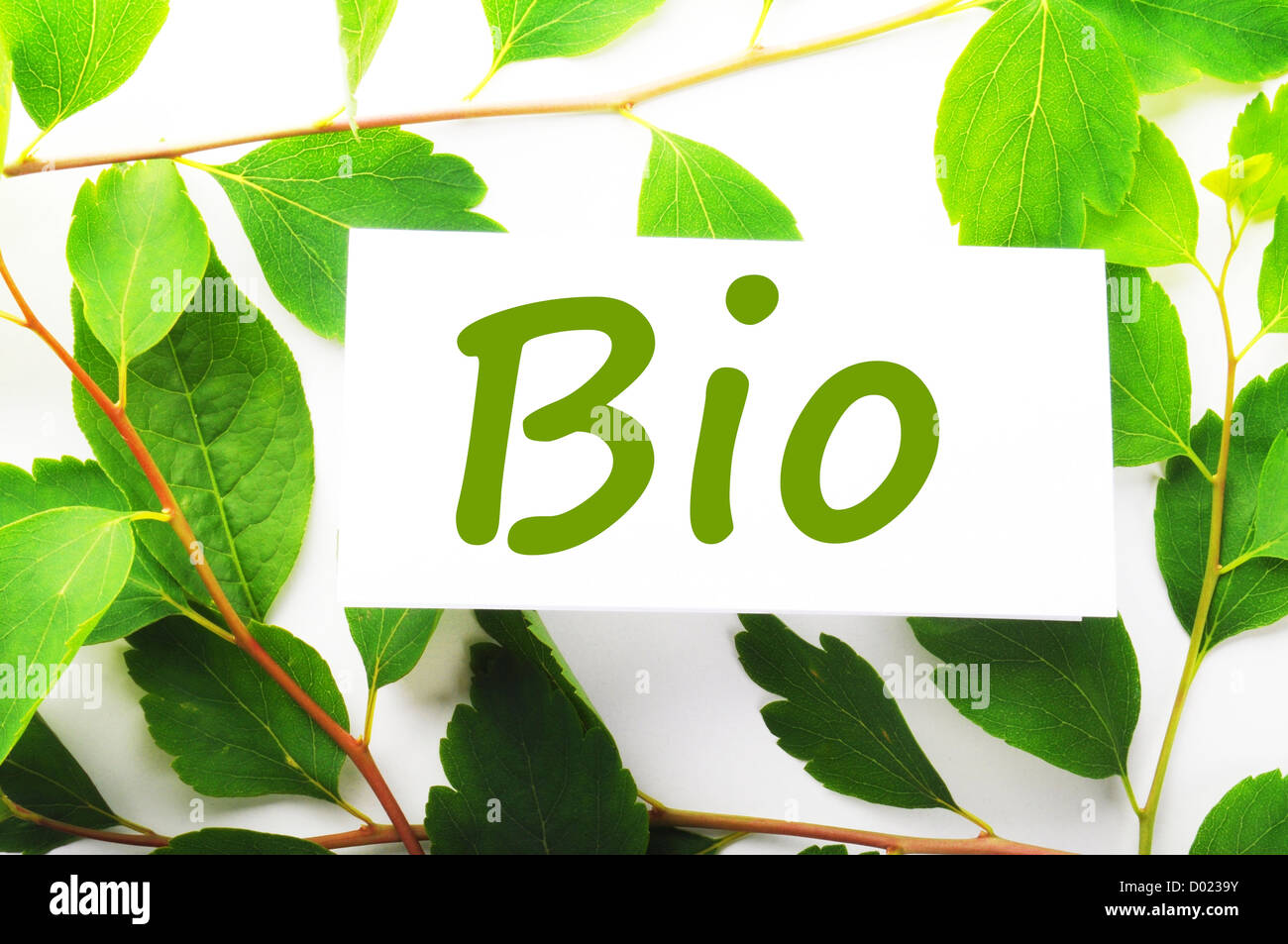 bio concept with word on nature still life Stock Photo - Alamy