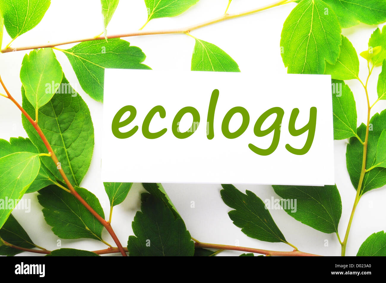ecology concept with word on nature still life Stock Photo - Alamy