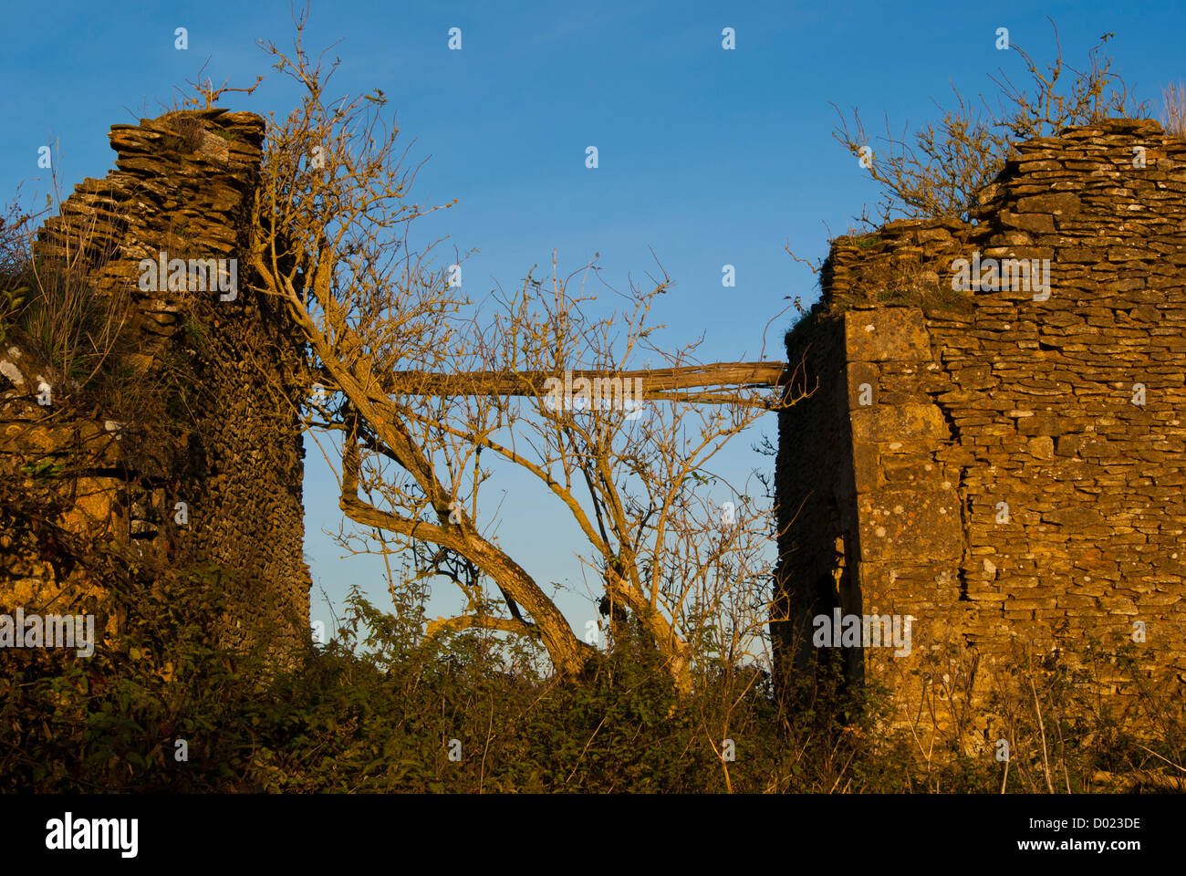 Avening High Resolution Stock Photography and Images - Alamy