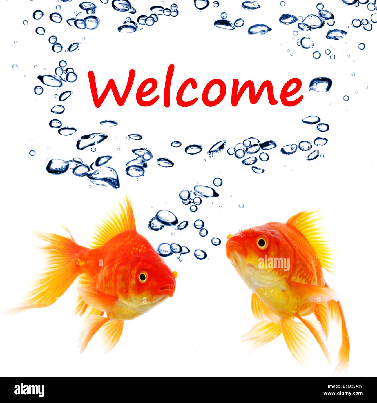 welcome concept with word and goldfish on white Stock Photo - Alamy