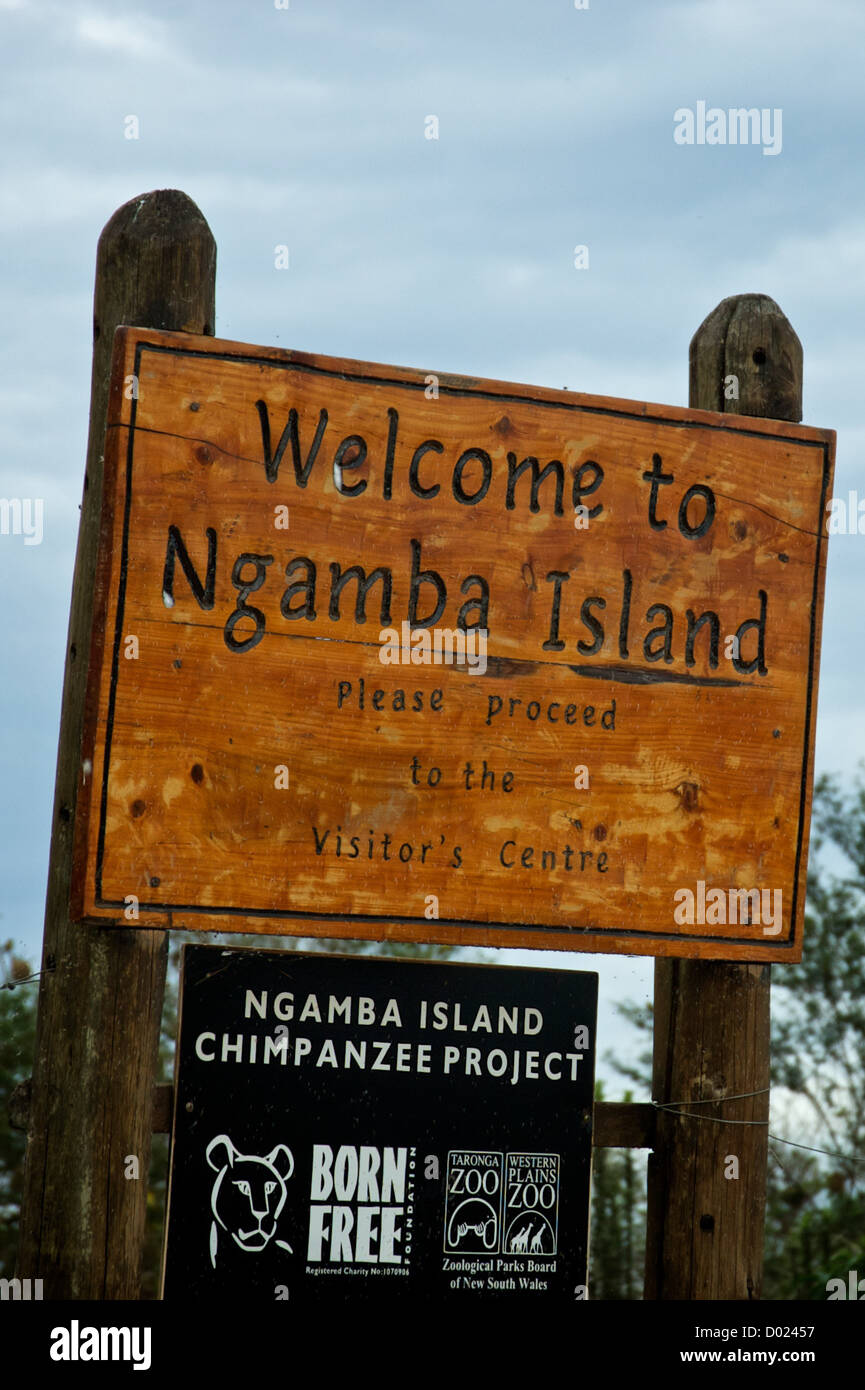 Ngamba Island Chimp Sanctuary, Lake Victoria, Uganda Stock Photo - Alamy
