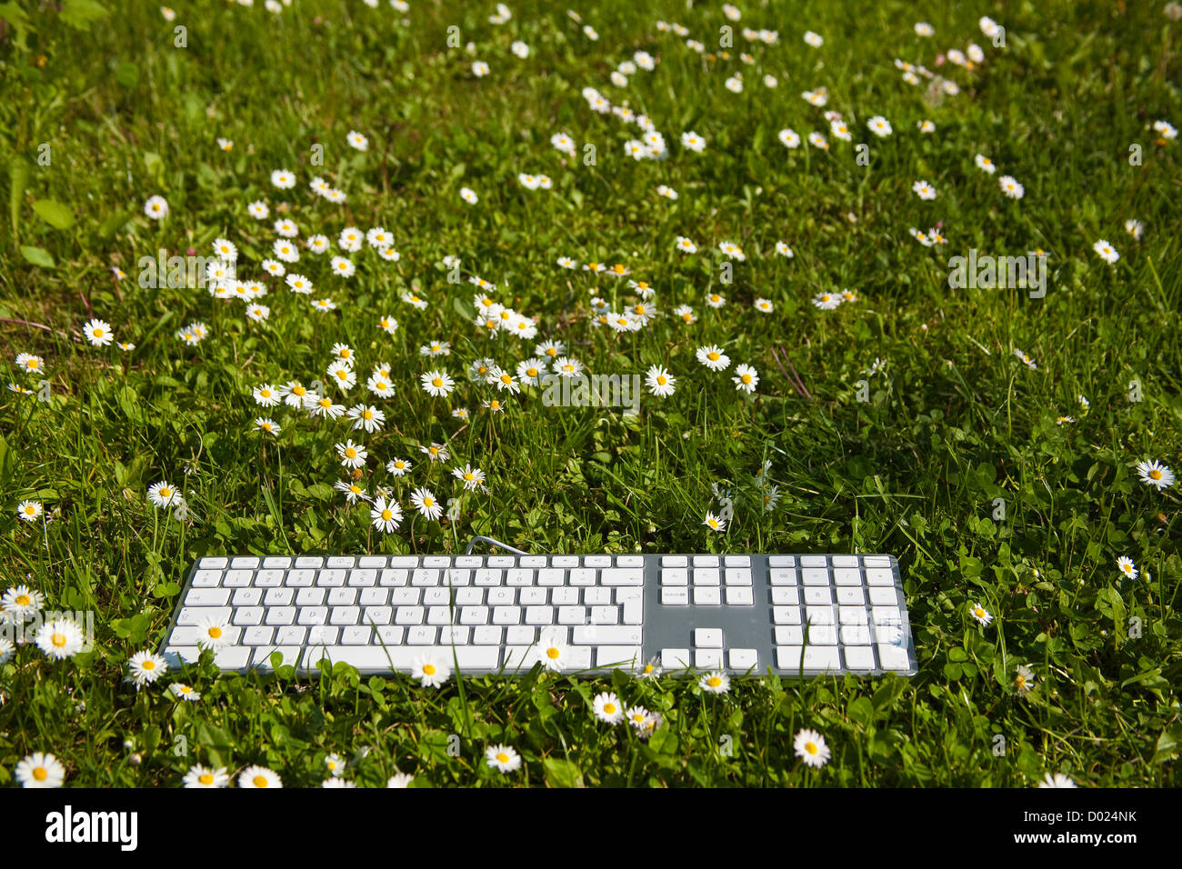 Keyboard in green grass Stock Photo - Alamy