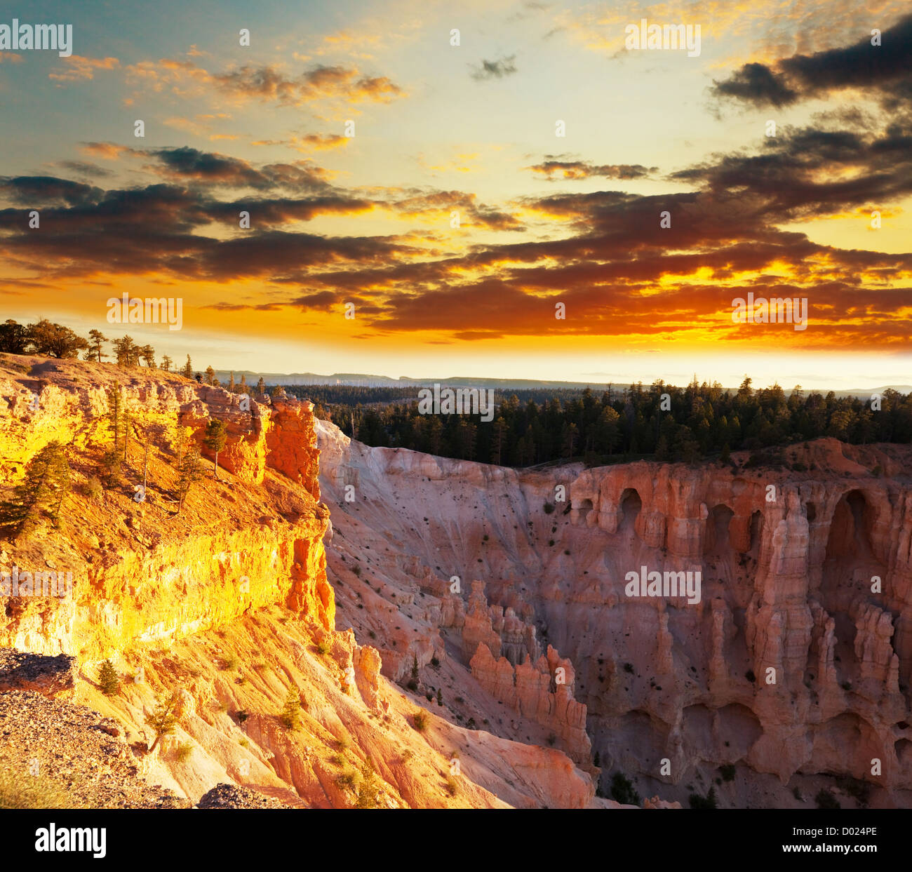 rain in Bryce Canyon Stock Photo - Alamy