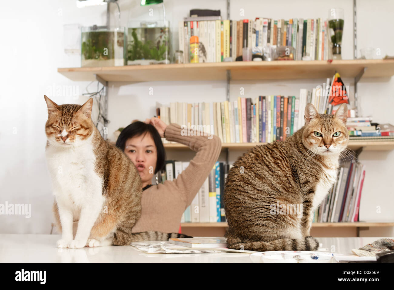Woman two cats in hi-res stock photography and images - Alamy