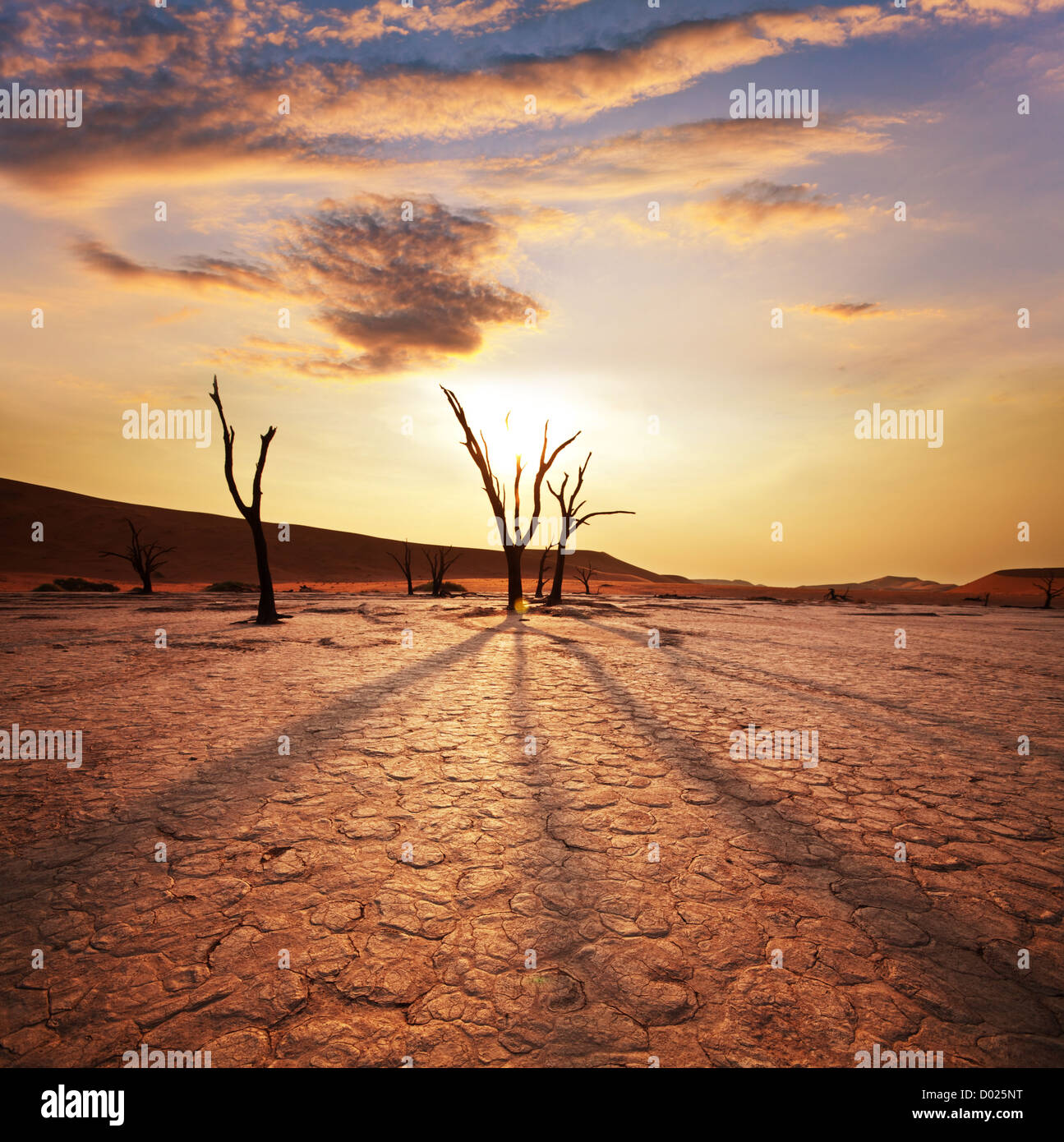 Dead valley in Namibia Stock Photo - Alamy