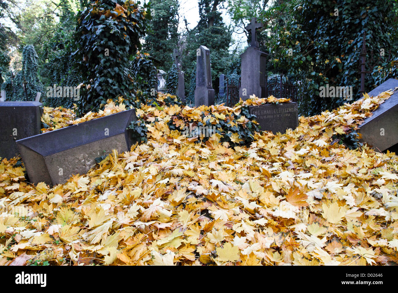old graves at historic Olsanske cemetery Prague, Czech Stock Photo - Alamy