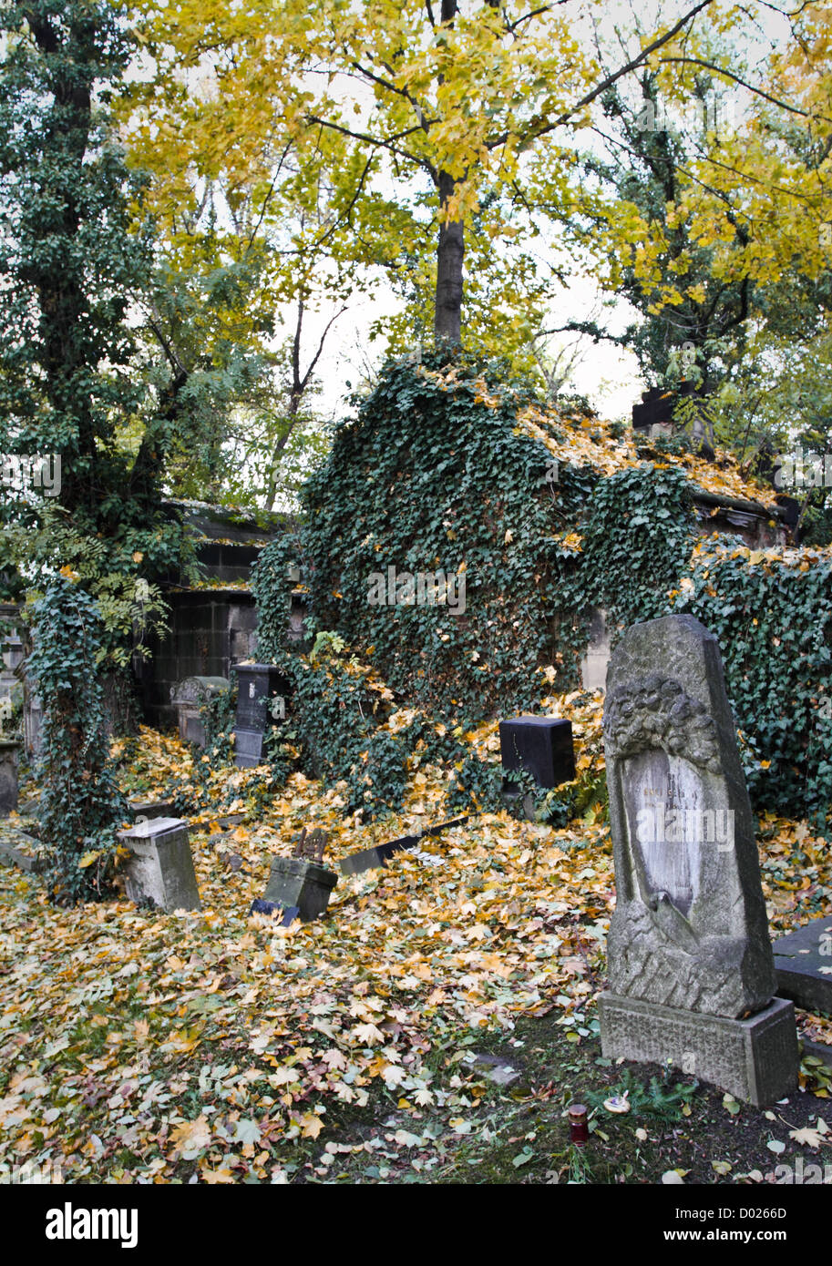 old graves at historic Olsanske cemetery Prague, Czech Stock Photo - Alamy