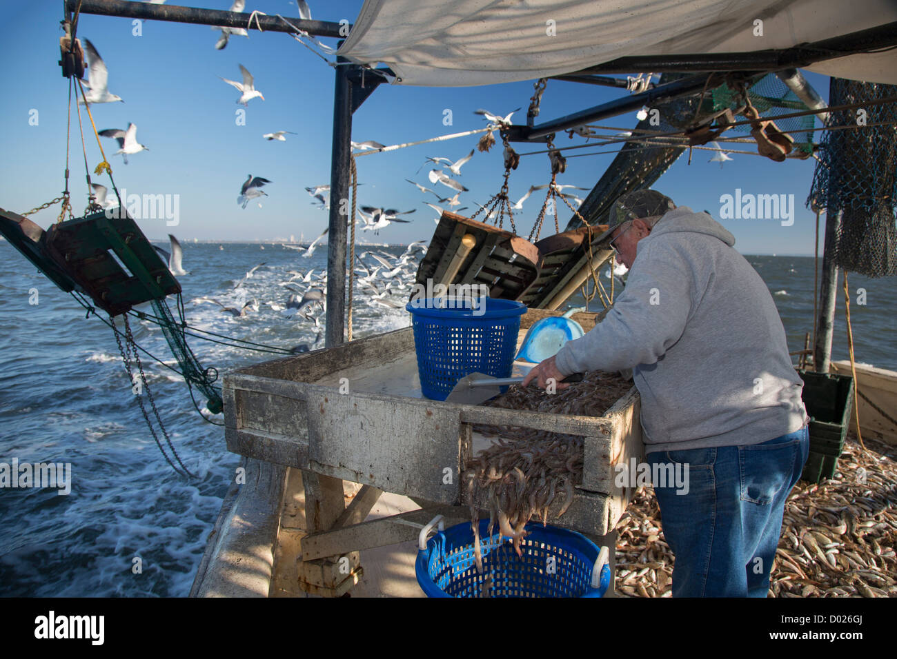 Fishing boat estuary usa hi-res stock photography and images - Alamy