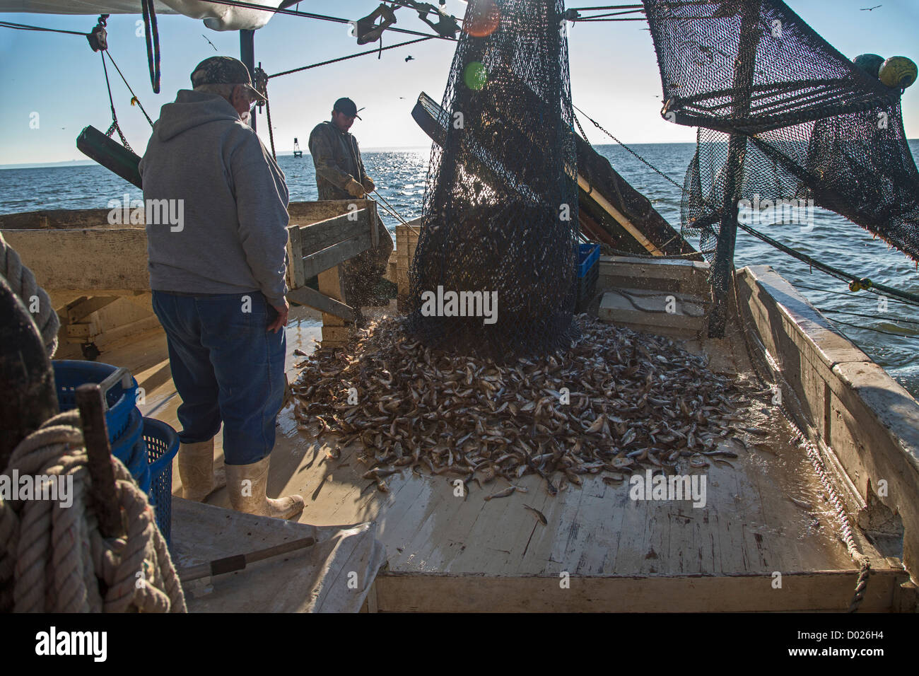 Trawl fishing hi-res stock photography and images - Alamy