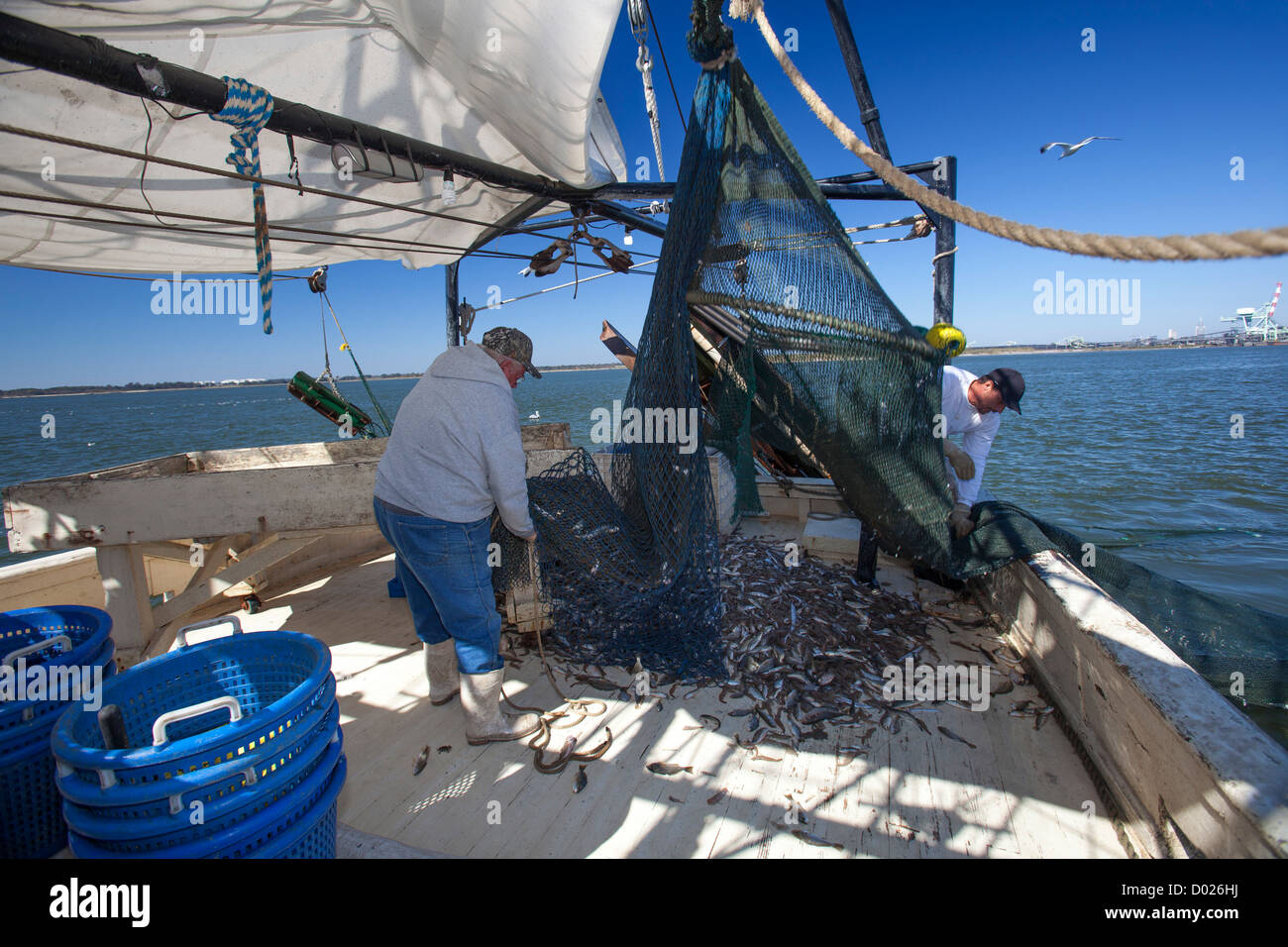 Fish net trawler catch hi-res stock photography and images - Alamy