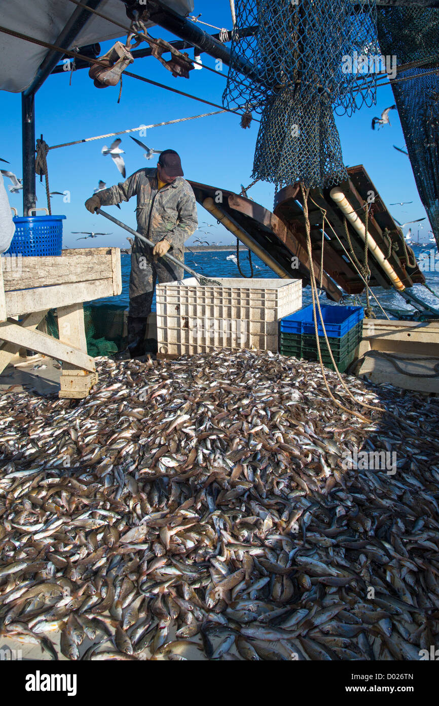 Shrimp trawler hi-res stock photography and images - Alamy