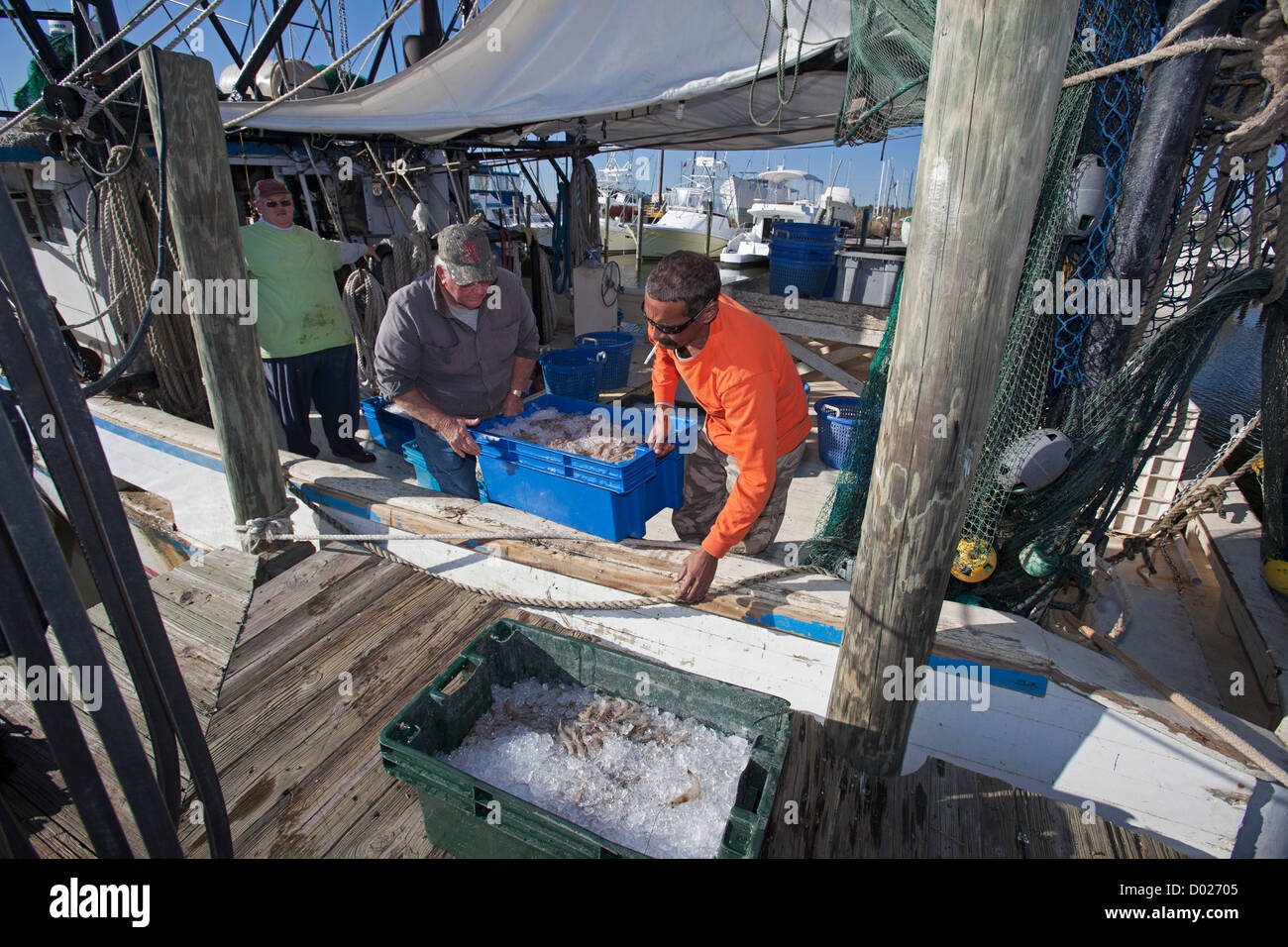 Shrimp boat catch hi-res stock photography and images - Alamy