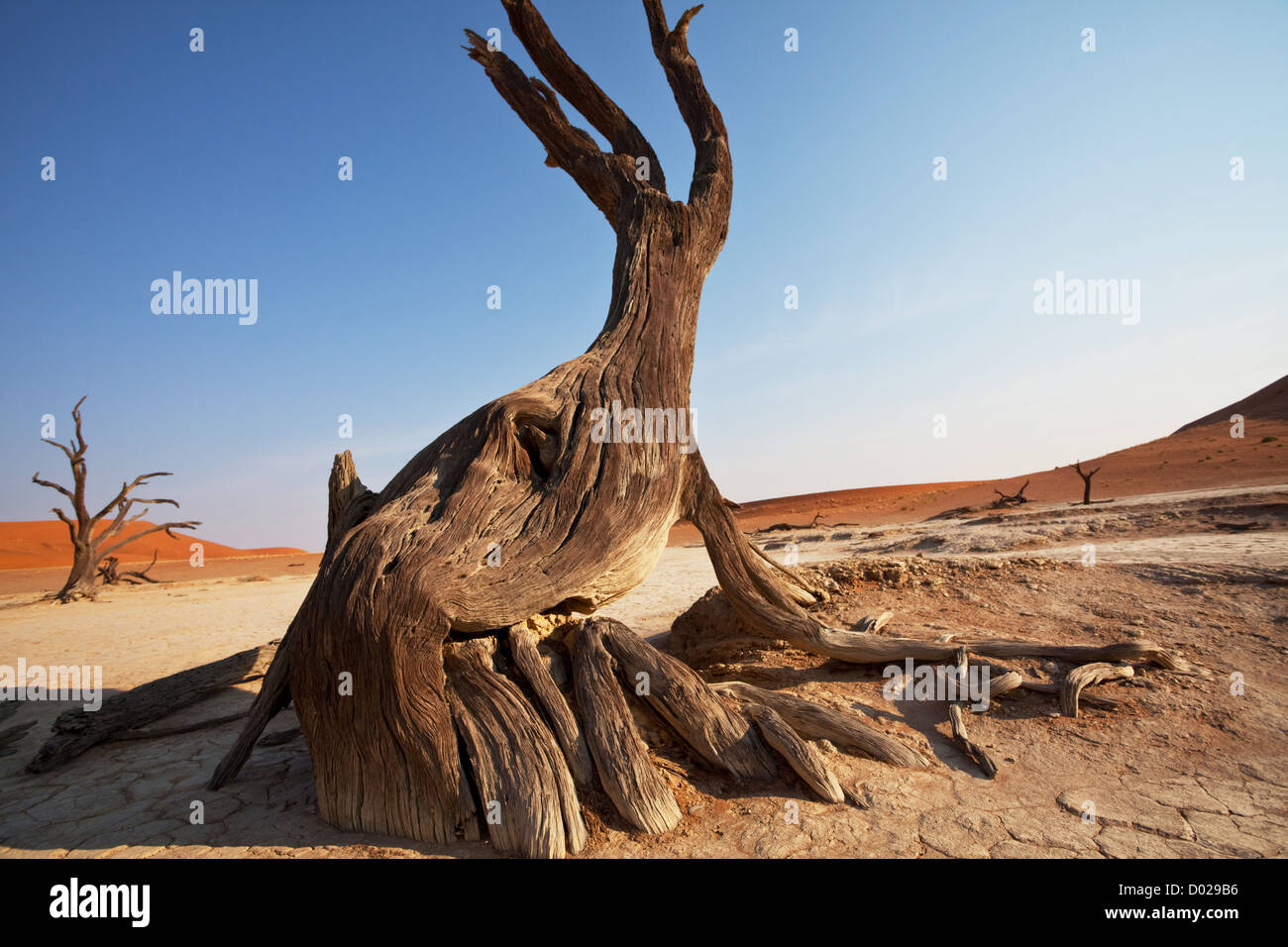 Dead valley in Namibia Stock Photo - Alamy