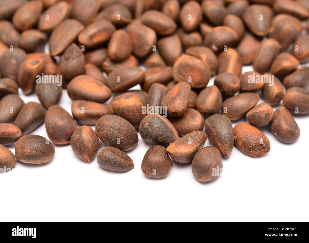 cedar nuts isolated on white Stock Photo - Alamy