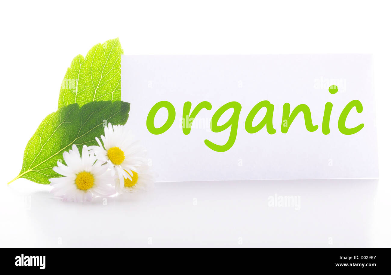 organic concept with word on nature still life Stock Photo - Alamy