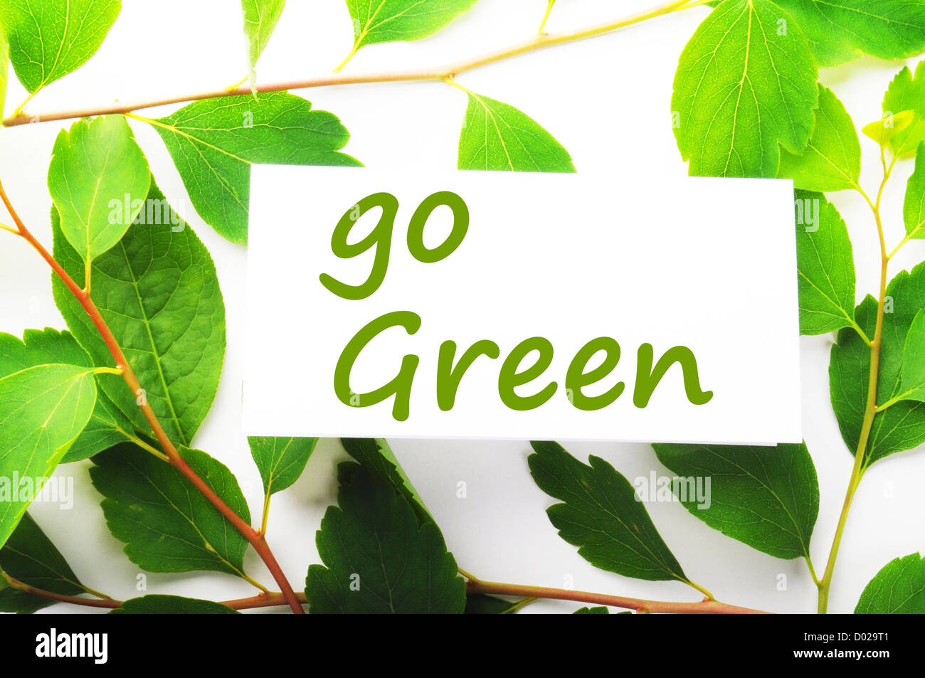 go green concept with word on nature still life Stock Photo - Alamy