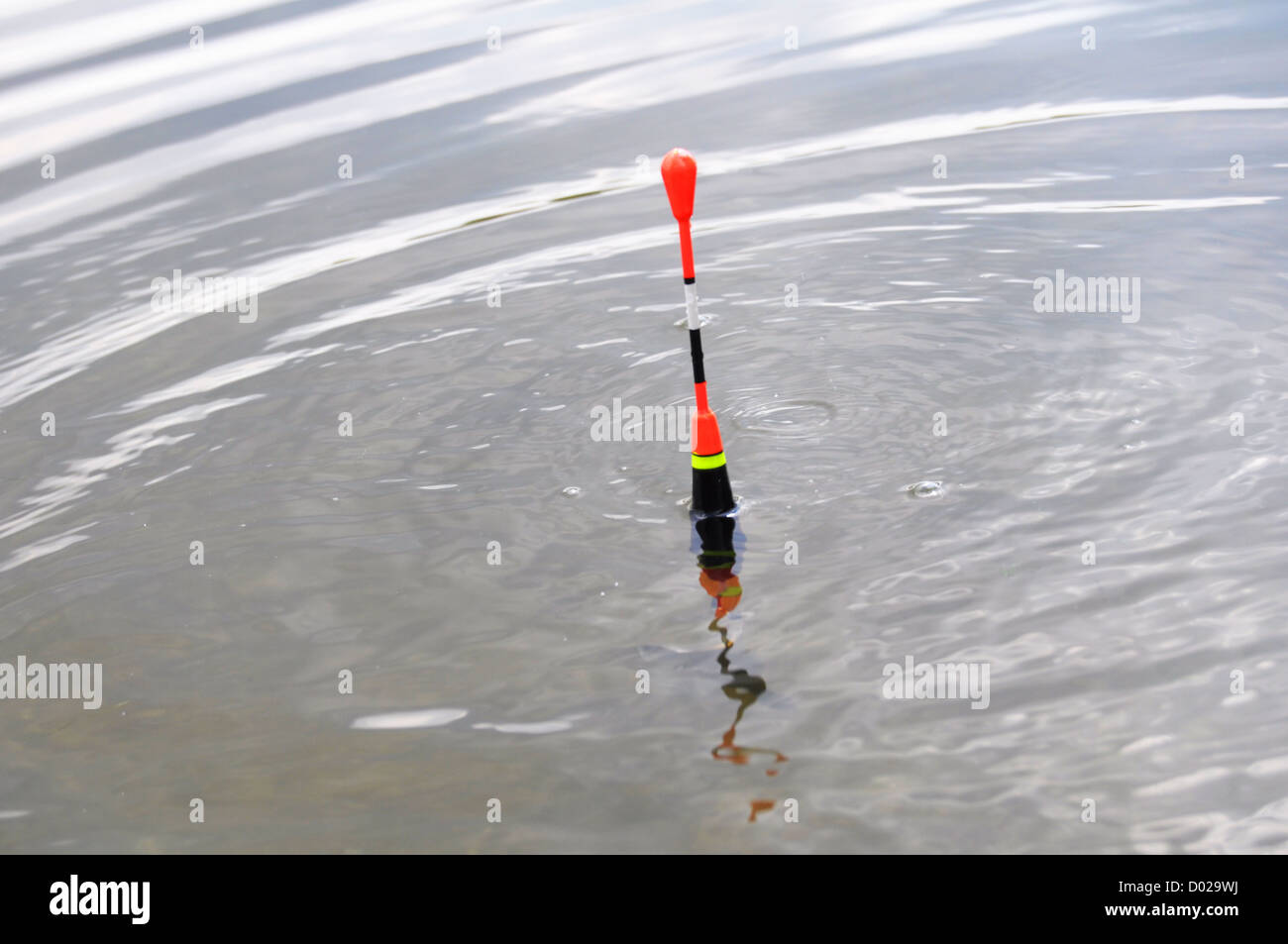bobber or fishing float in water showing success concept Stock Photo ...
